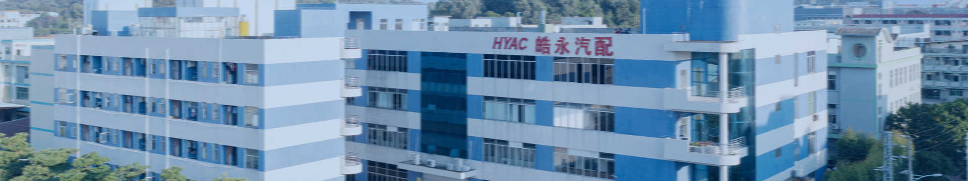 About HYACHeadlamp Leveling device - Hao Yong Automotive Controls